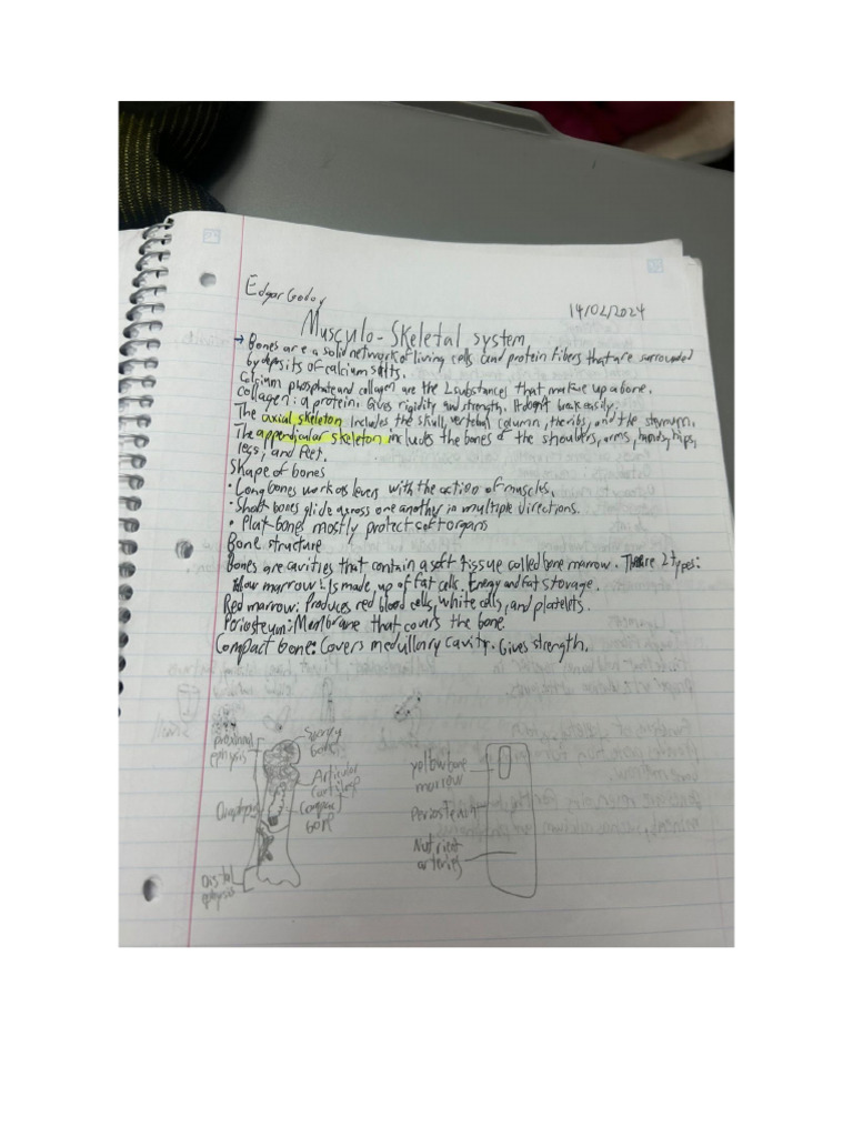 Partial 2 Notes Biology | PDF