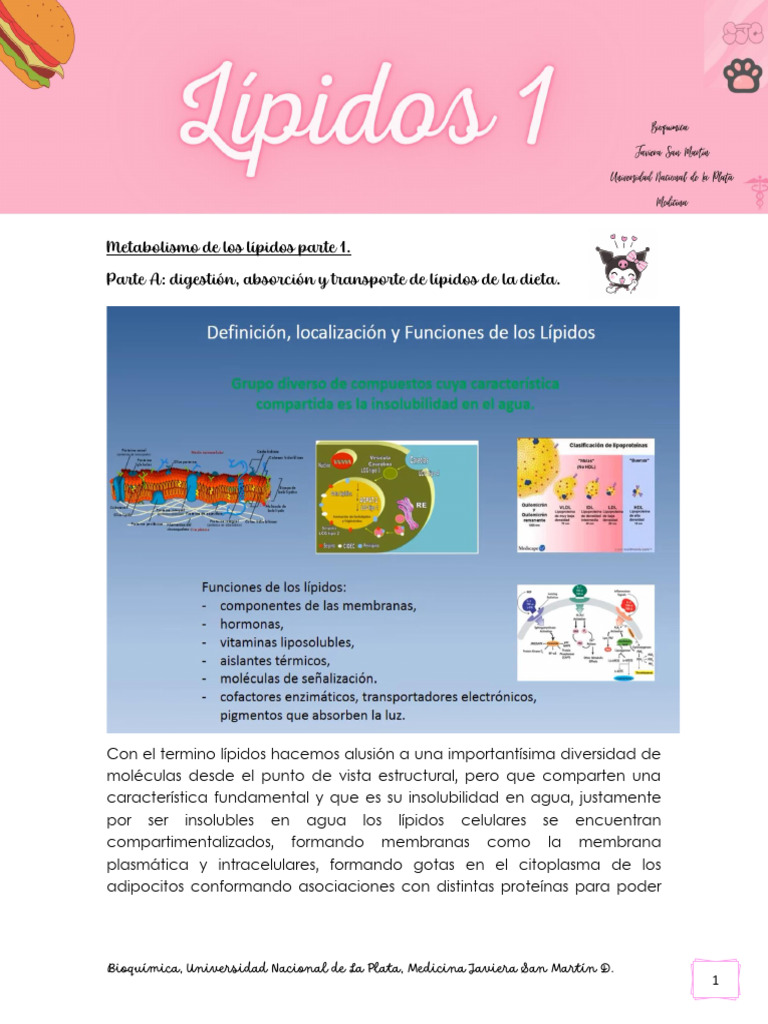 Metabolismo de Los Lã - Pidos Parte 1 | PDF | Bilis | Lípido