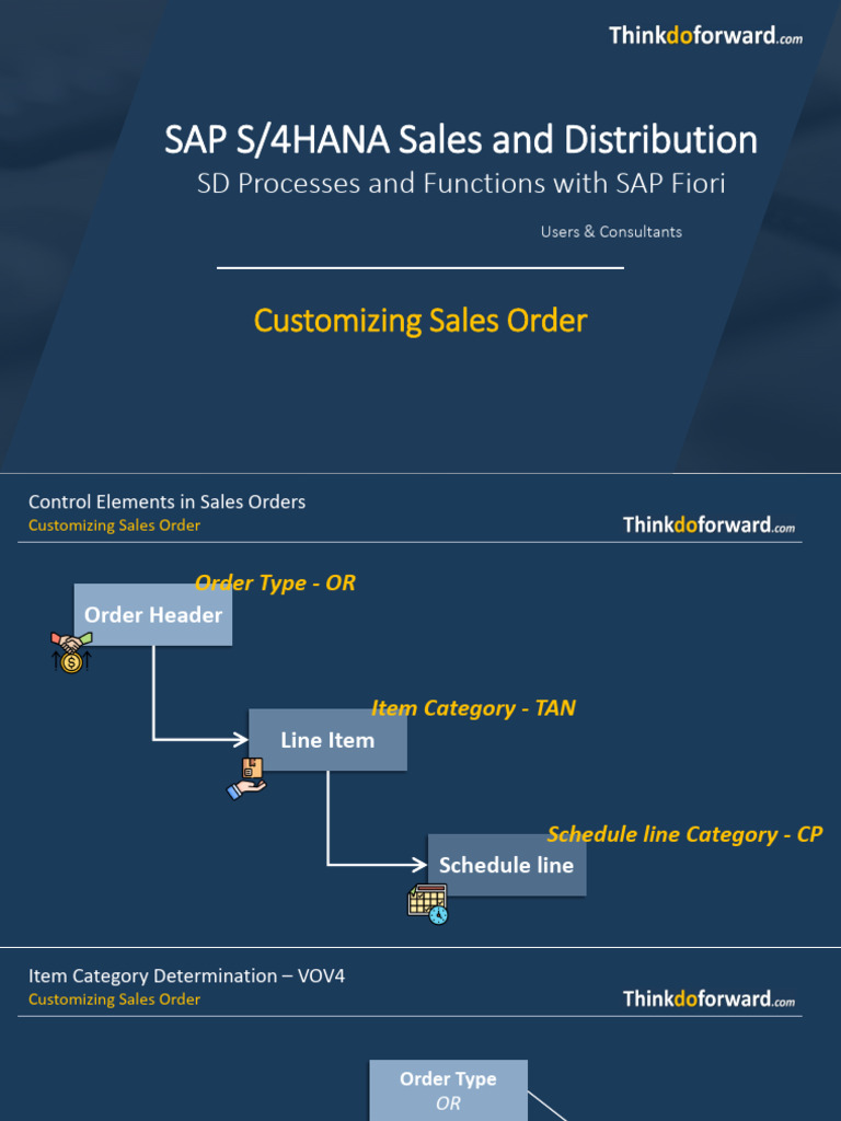 Customizing Sales Order | PDF | Computer Science | Software Engineering