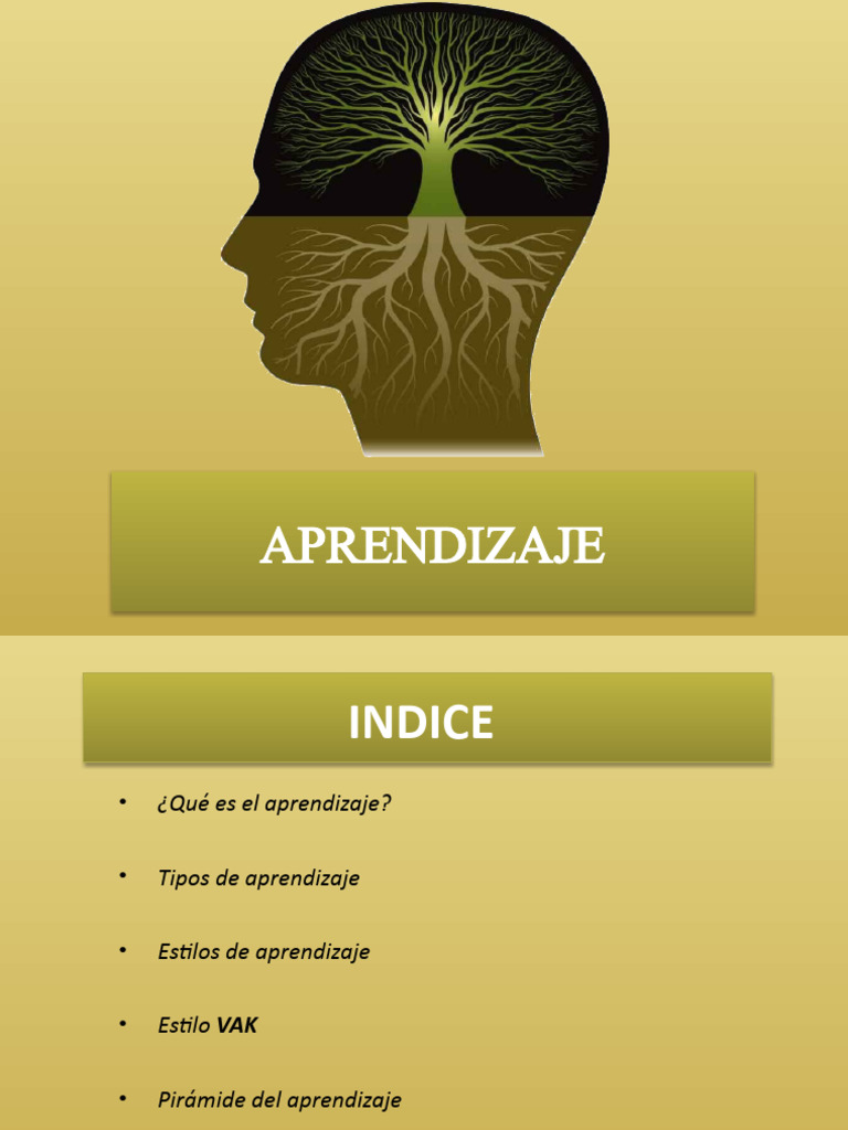 APRENDIZAJE | PDF | Aprendizaje | Memoria