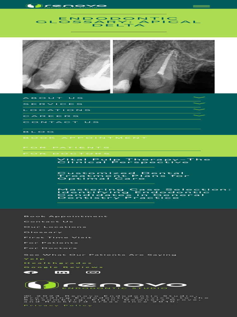 Endodontic Glossary Apical Delta Renovo Endodontic Studio | PDF ...