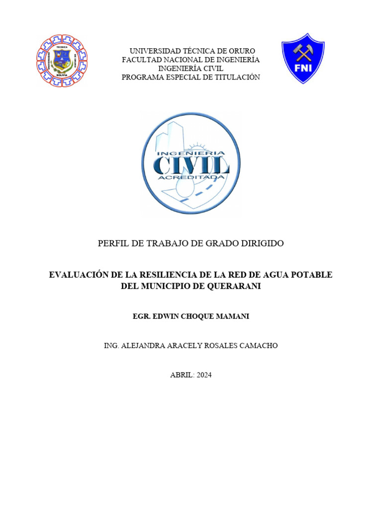 Perfil EDWIN CHOQUE | PDF | Matriz (Matemáticas) | Corrosión