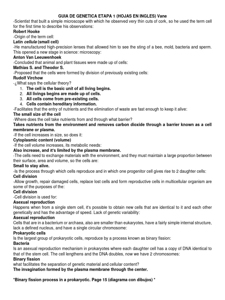 Guia de Genetica Etapa 1 y 2 Ingles | PDF | Mitosis | Dominance (Genetics)