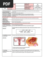Male and Female Reproductive Systems Worksheet | PDF