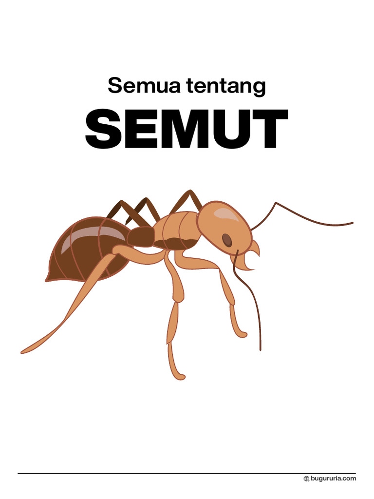 Metamorfosis Dan Jurnal Semut | PDF