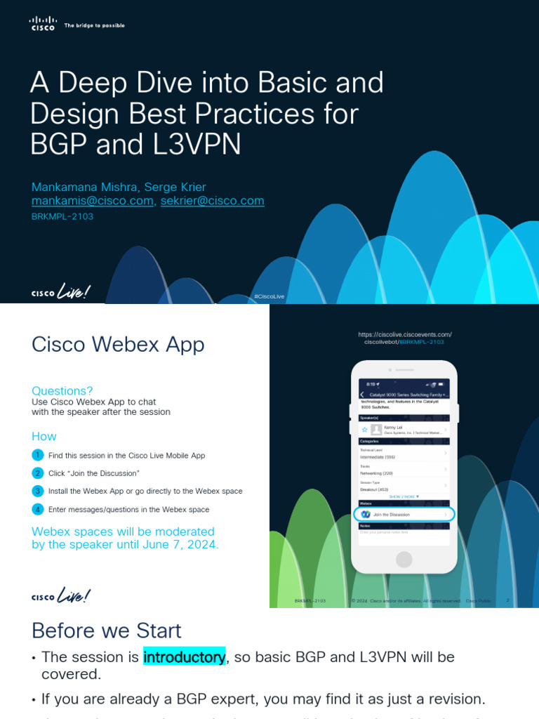 BGP and L3VPN | PDF | Virtual Private Network | Networking