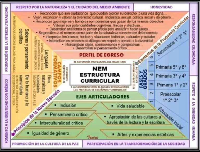 Estructura Curricular | PDF
