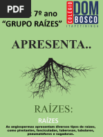 Raízes Adventícias: Exemplos e Funções | PDF | Raiz | Morfologia vegetal