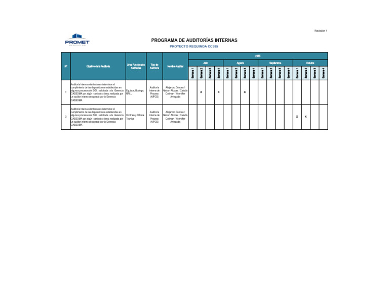 Programa de Auditorías Internas 2015 | PDF | Auditoría | Gestión de riesgos