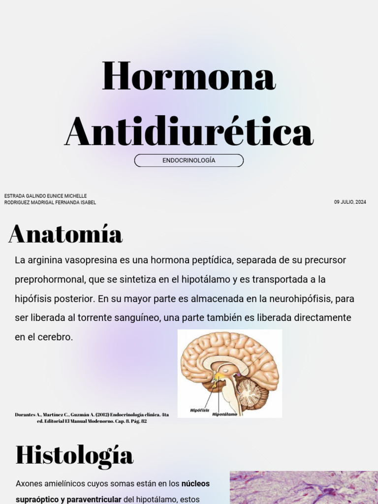 Hormona Antidiurética: Funciones y Trastornos | PDF | Sistema endocrino ...