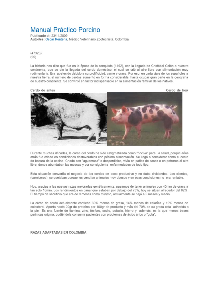 Razas de Puercos en Colombia | PDF | Cerdo | Parto