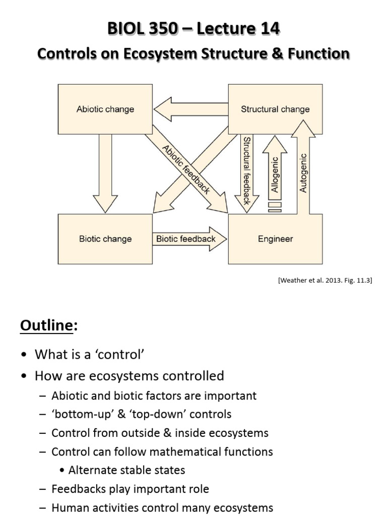 BIOL 350 Lecture 14 (Controls On Ecosystem Structure & Function) | PDF ...
