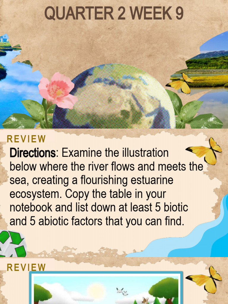 g5q2 Week 9 Science | PDF | Estuary | Habitat