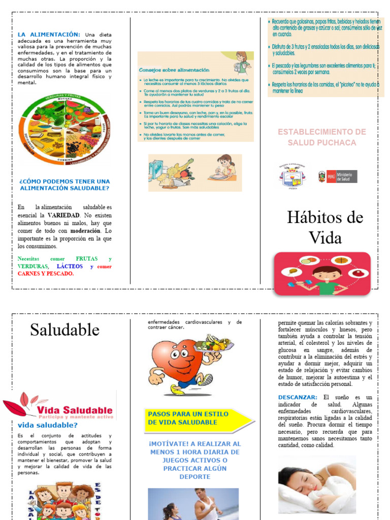Triptico Vida Saludable | PDF | Alimentos | Dieta saludable