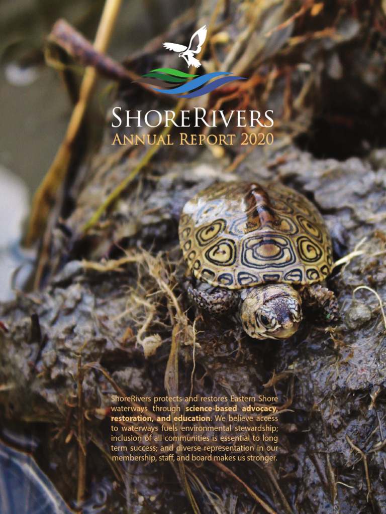 ShoreRivers Annual Report 2020 | PDF | Science & Mathematics