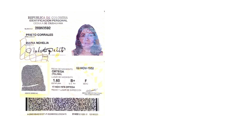 Nuevo Presentación OpenDocument - Odp - 0 | PDF