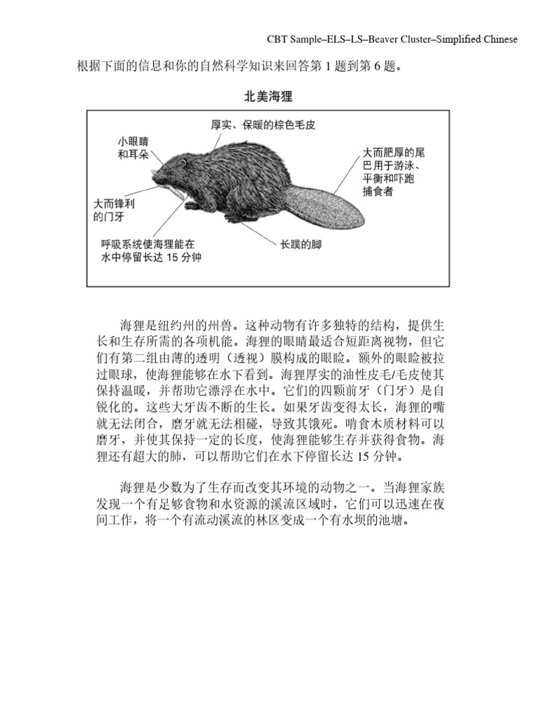 Sample Els Test Items Simplified Chinese | PDF