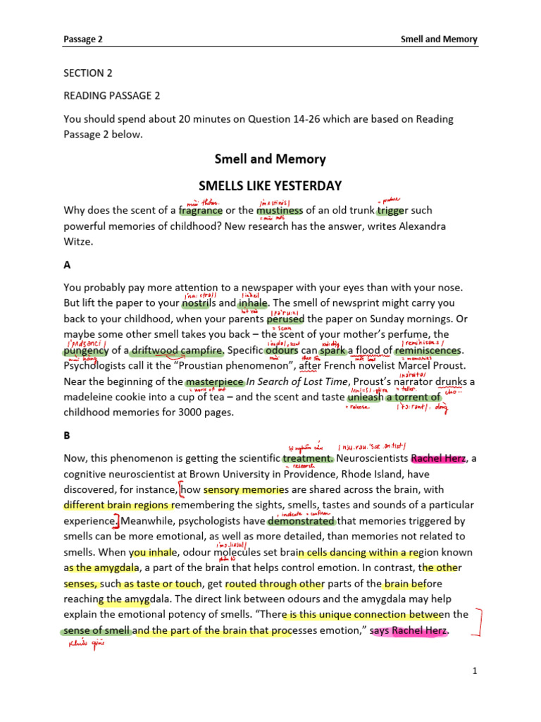 05 Passage 2 - Smell and Memory Q14-26 | PDF | Memory | Senses