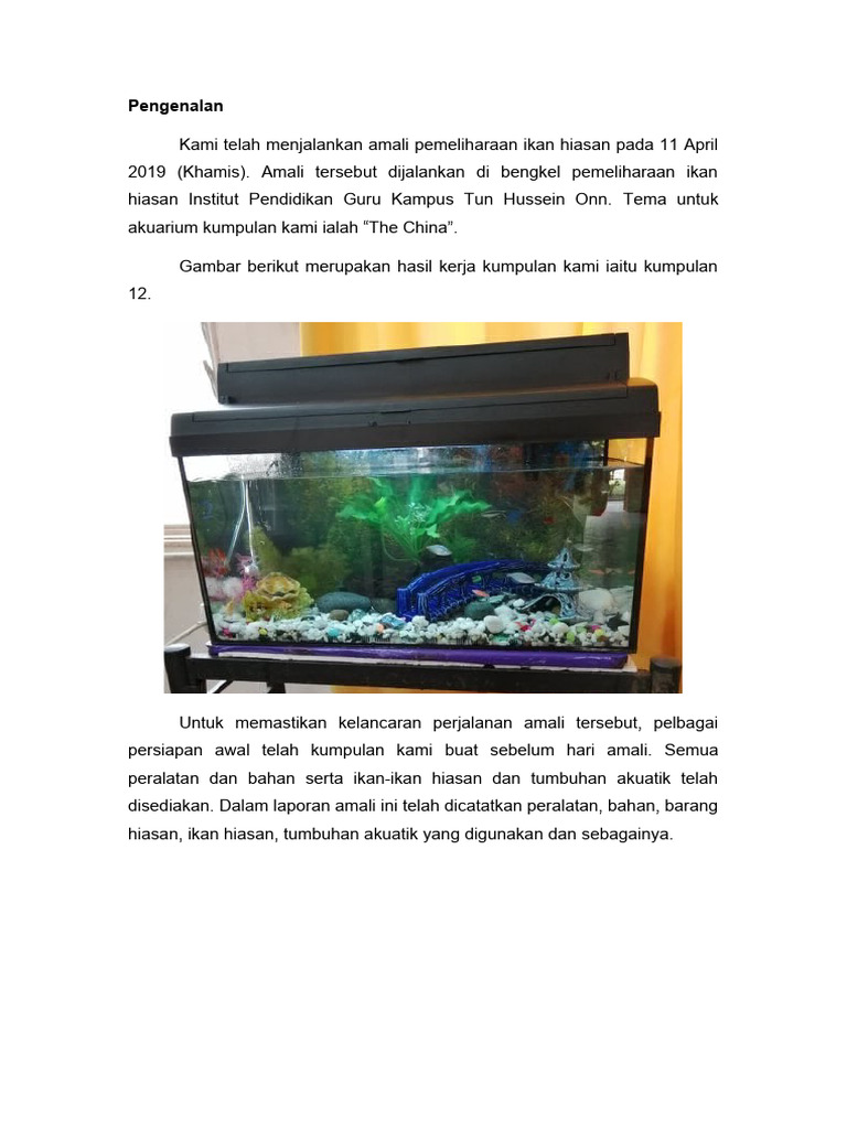 IPG RBT Laporan Amali Ikan | PDF