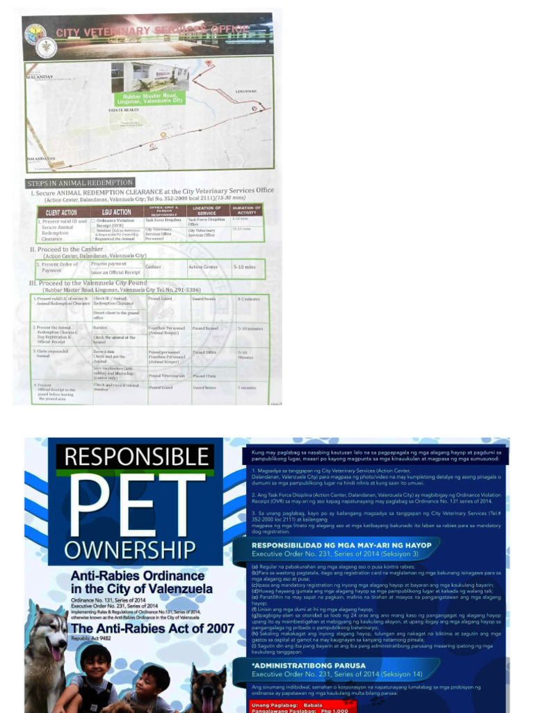 Flyers for Animal | PDF