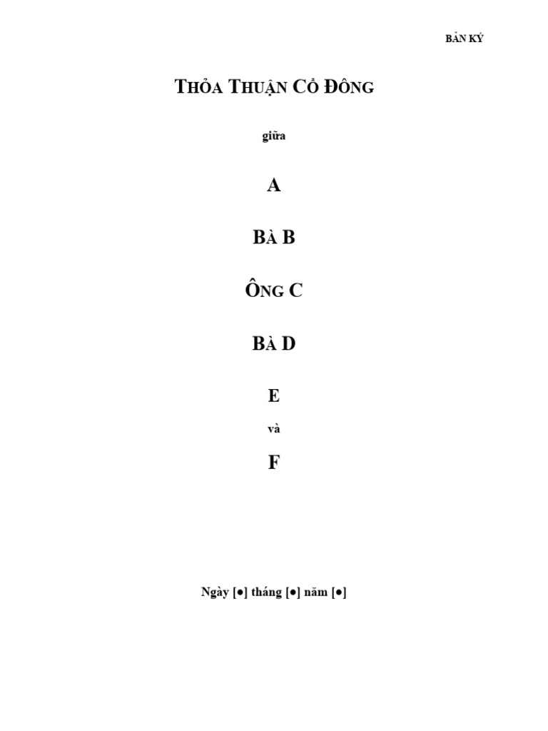 Template SHA VN Execution 2 | PDF