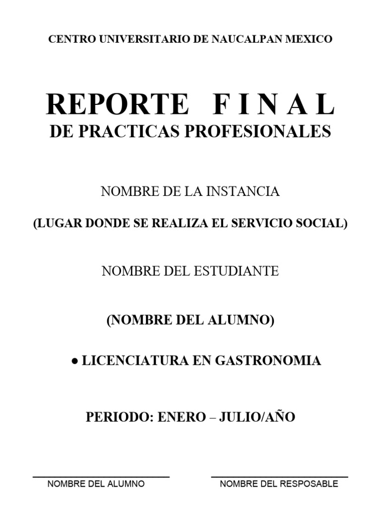 Reporte Final de Practicas Profesionales | PDF | Evaluación