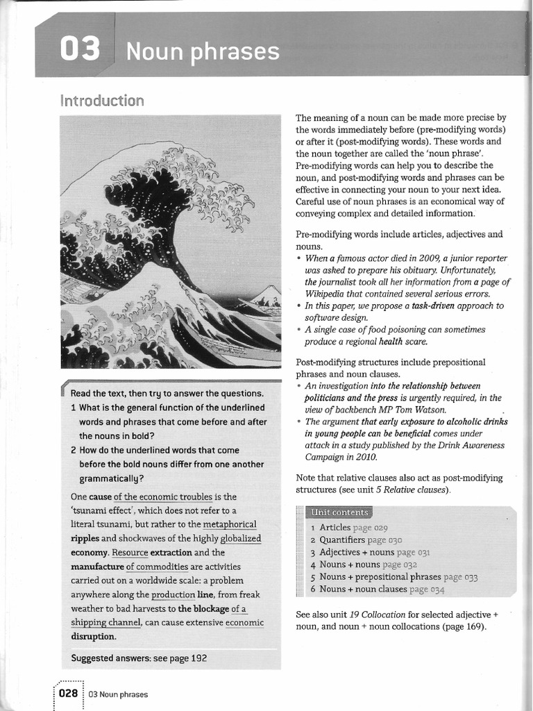 Grammar Nouns and Noun Phrases | PDF