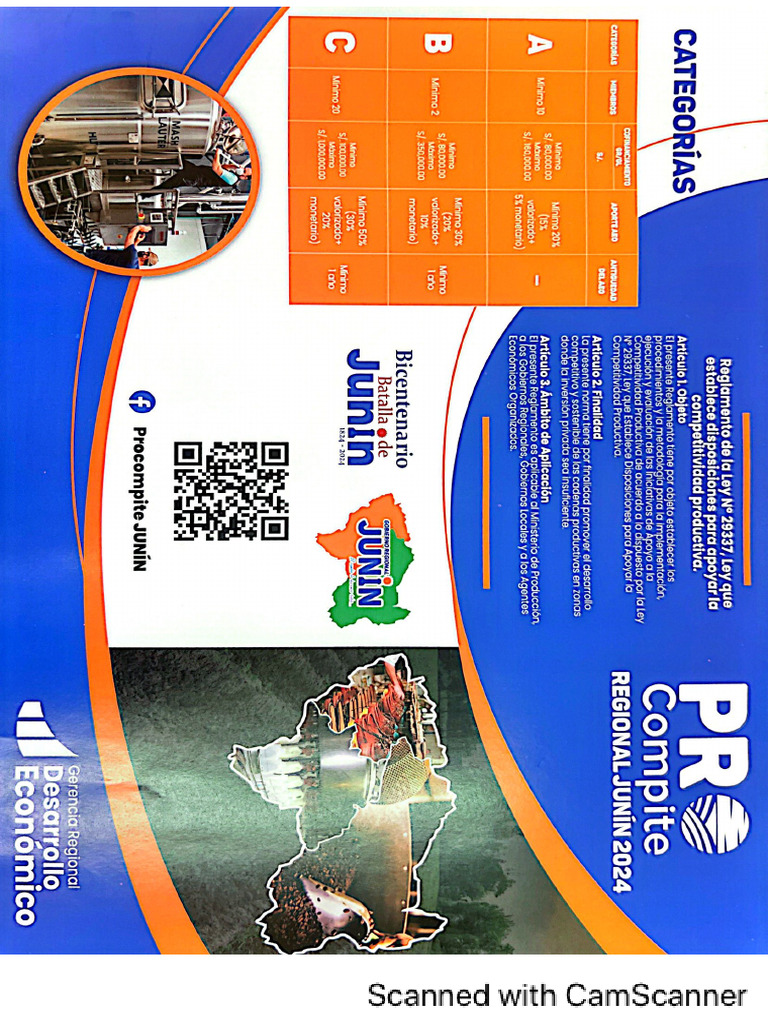 Tríptico Procompite 2024 JUNÍN | PDF