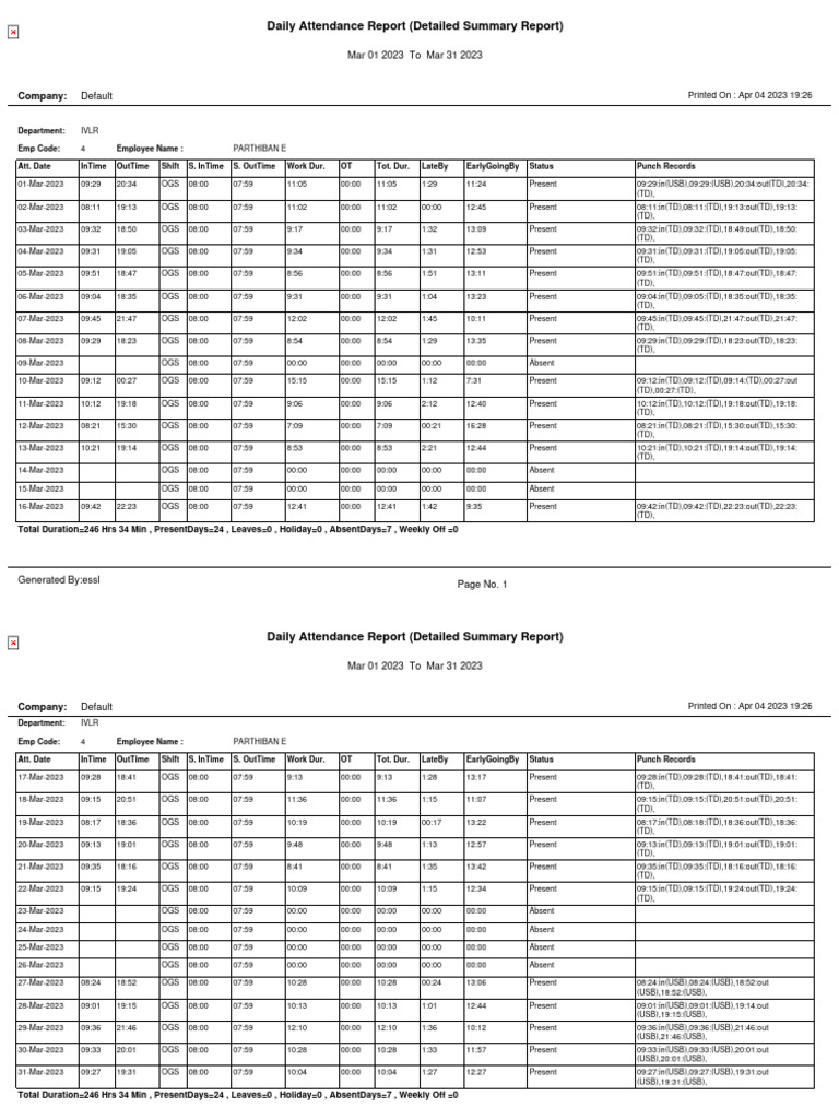 Daily Attendance Report | PDF