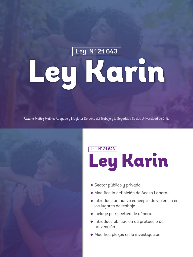 Ley Karin: Protección Laboral y Género | PDF | Acoso sexual | Violencia