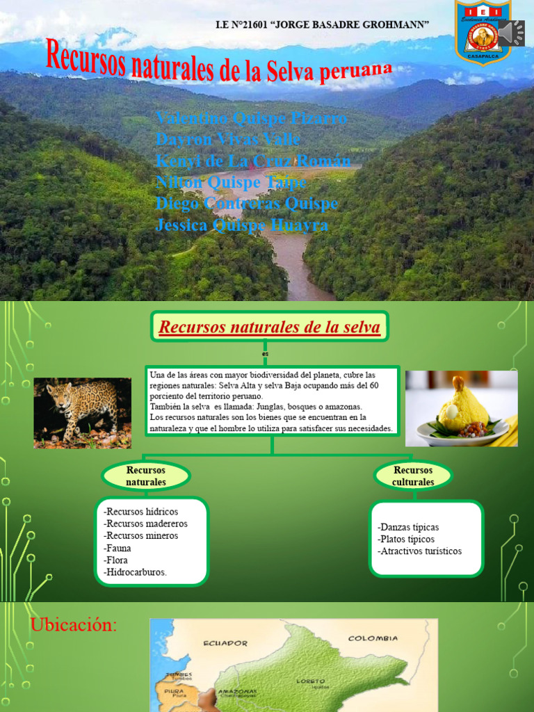 Recursos Naturales de La Selva PERUANA | PDF | Entorno natural