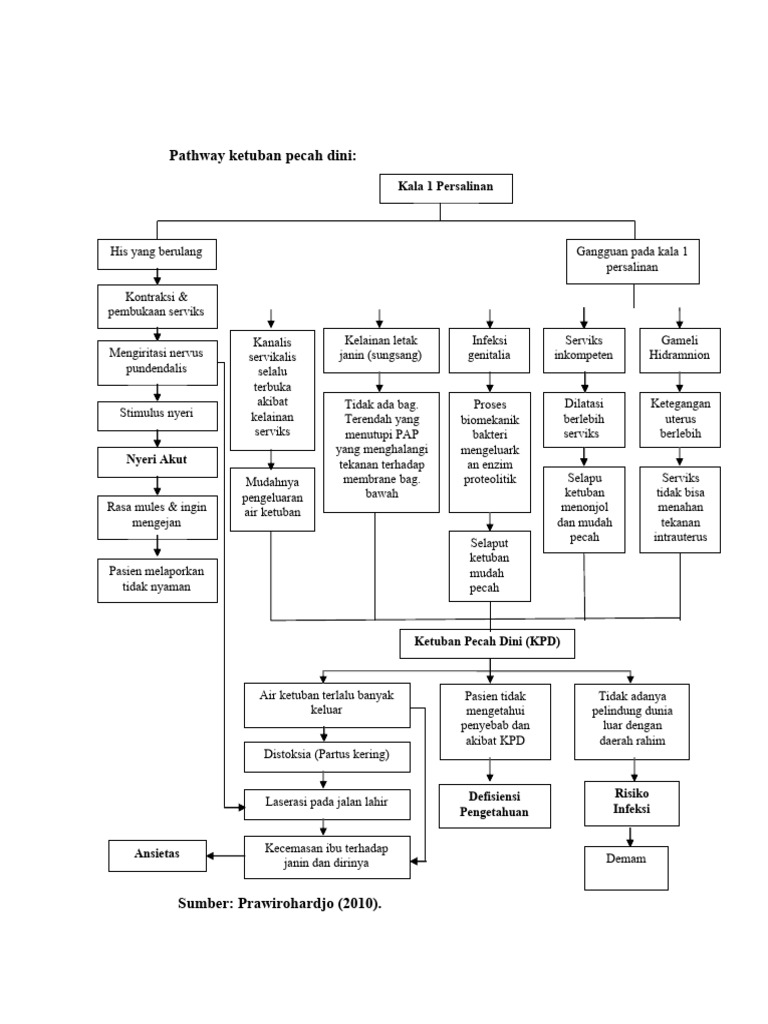 Pathway Ketuban Pecah Dini | PDF
