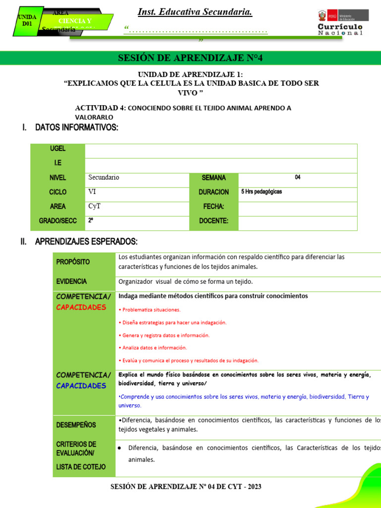D2º Ses-Act 4-Cyt U1 | PDF | Músculo | Aprendizaje
