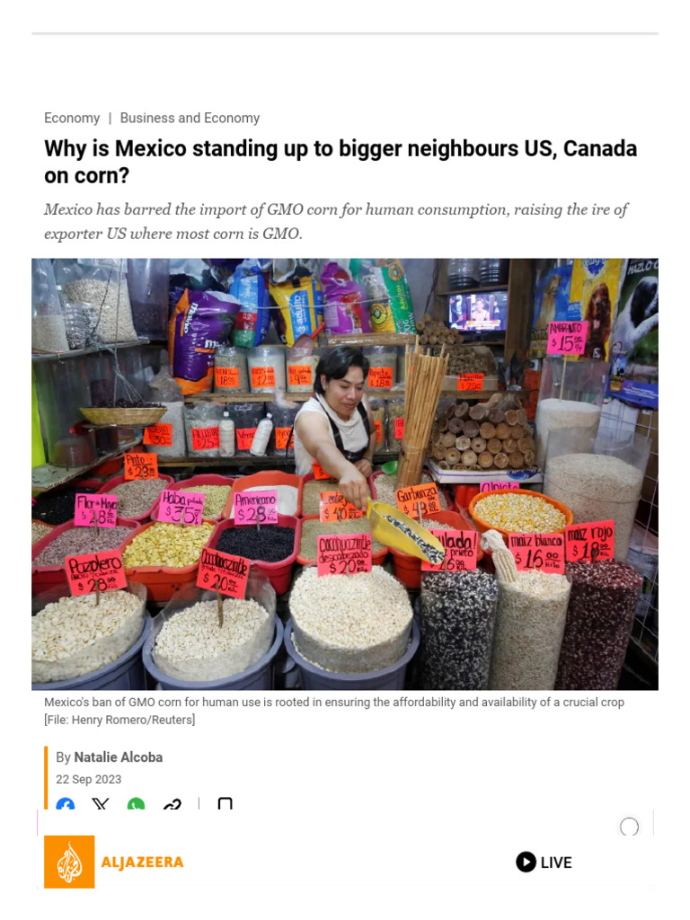 Why Is Mexico Standing Up To Bigger Neighbours US, Canada On Corn ...
