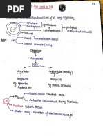 Class 12 Biology Ncert Index | PDF