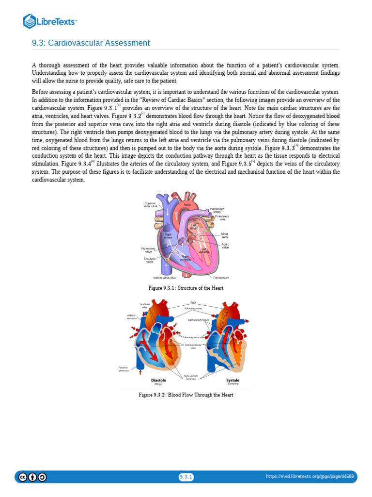 Notes - Cardiac Assesment | PDF | Heart | Atrium (Heart)