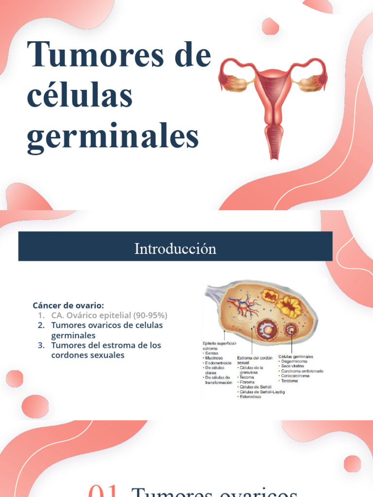 Tumores de Células Germinales | PDF | Neoplasias | Cáncer