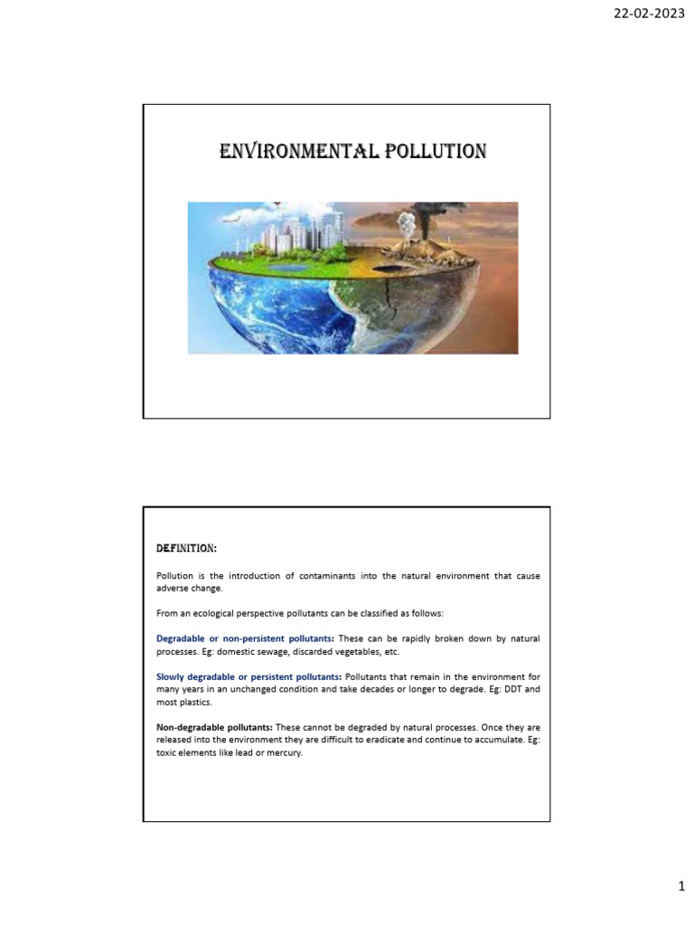 environmental pollution | PDF | Water Pollution | Soil