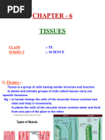 BIO-TISSUES MIND MAP Class 9 | PDF