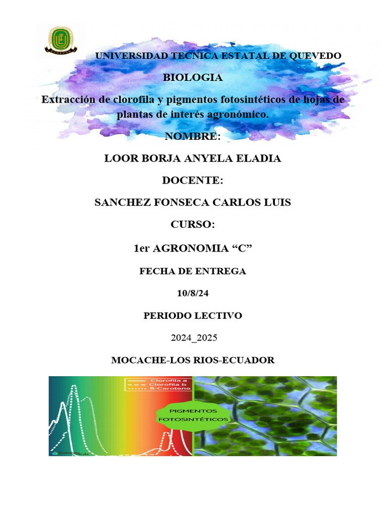 Biologia Practica Experimental Hojas | PDF | Fotosíntesis | Plantas