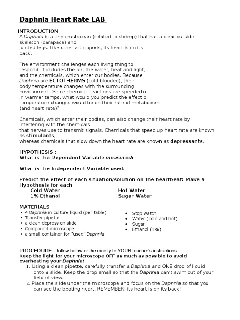 Daphnia Heart Rate LAB | Download Free PDF | Heart Rate | Water