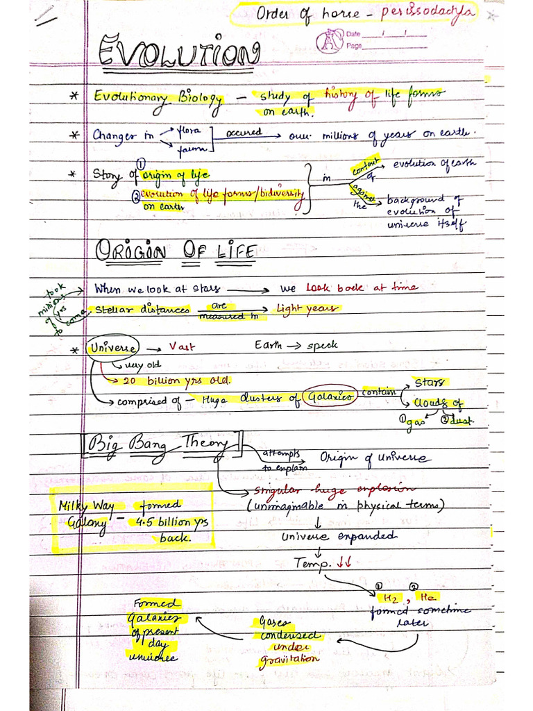 Evolution - Tanisha Sachan PDF | PDF