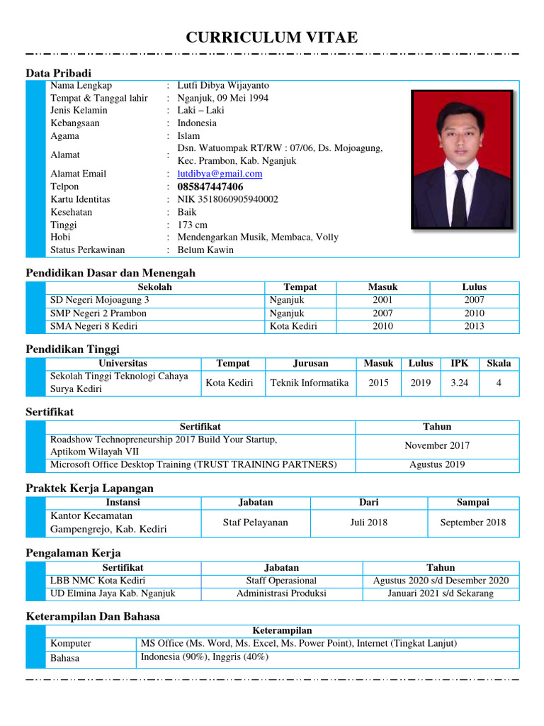 Curriculum Vitae 1 | PDF