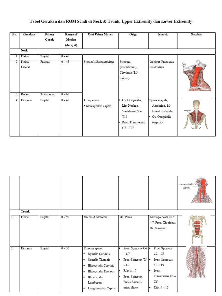 Tabel Gerakan Dan ROM Sendi Di Neck Trunk Upper | PDF | Ibu Jari | Kaki