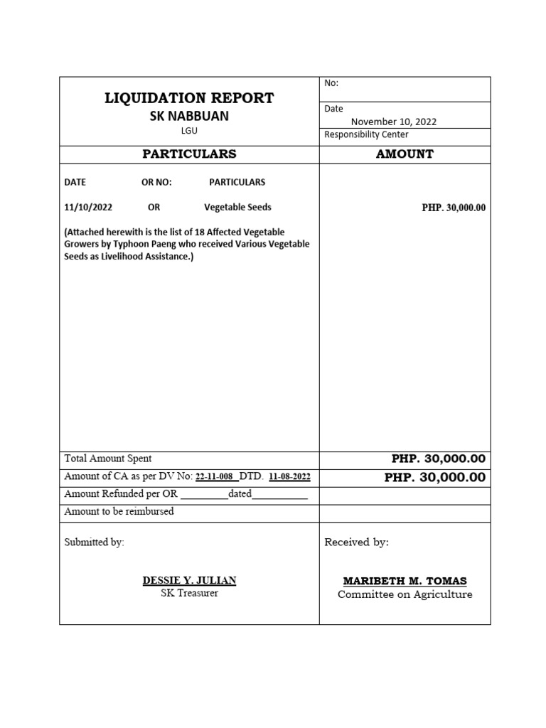 SK Liquidation Report | PDF | Finance & Money Management