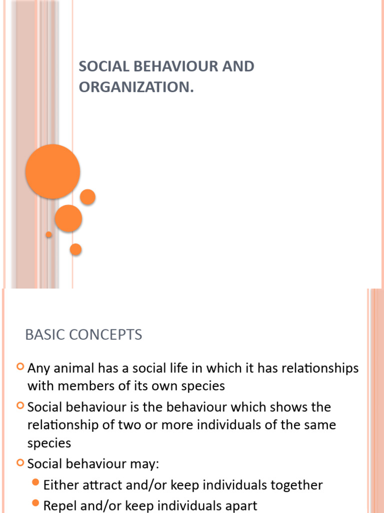 8 Social Behaviour and Organistion | PDF | Habitat | Herd