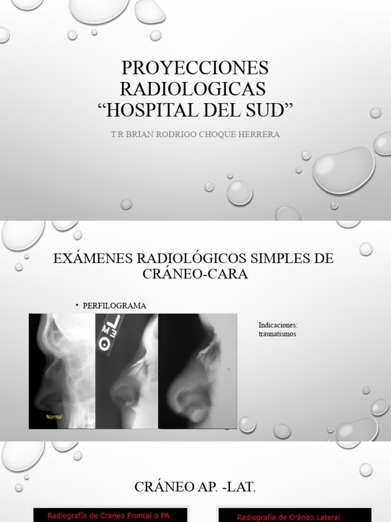 Proyecciones Radiologicas-1 | PDF