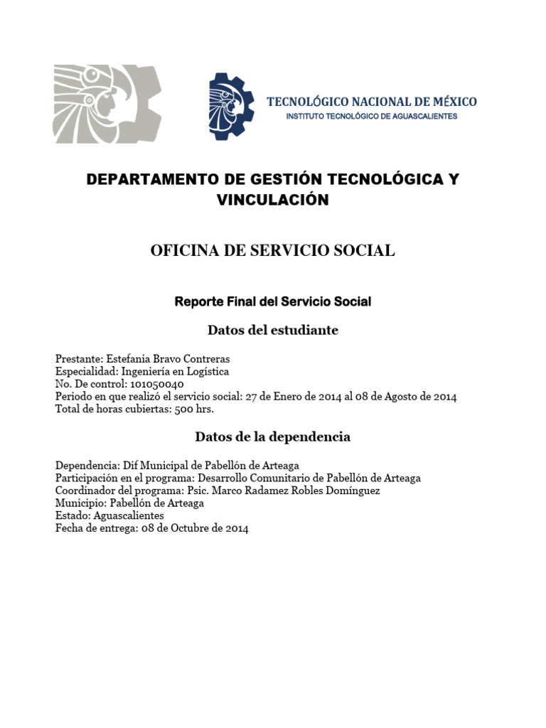 Reporte Servicio Social en DIF Pabellón | PDF | Trabajo Social | Sustentabilidad
