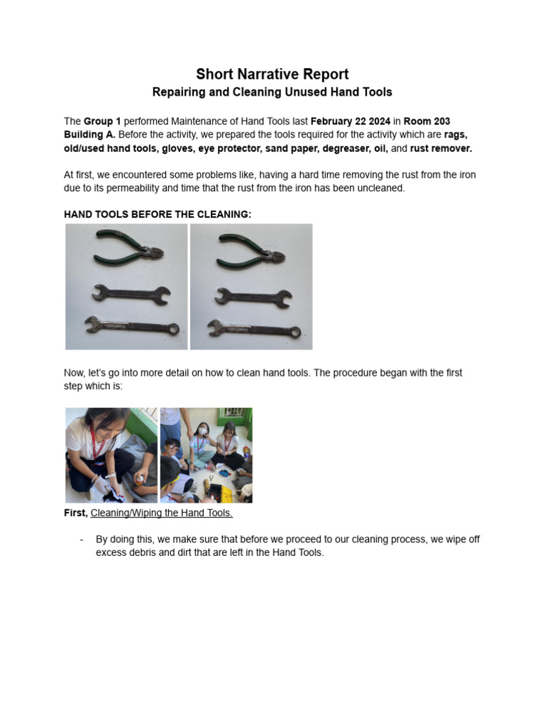 G4-CSS Narrative Report | PDF | Secondary Sector Of The Economy | Materials