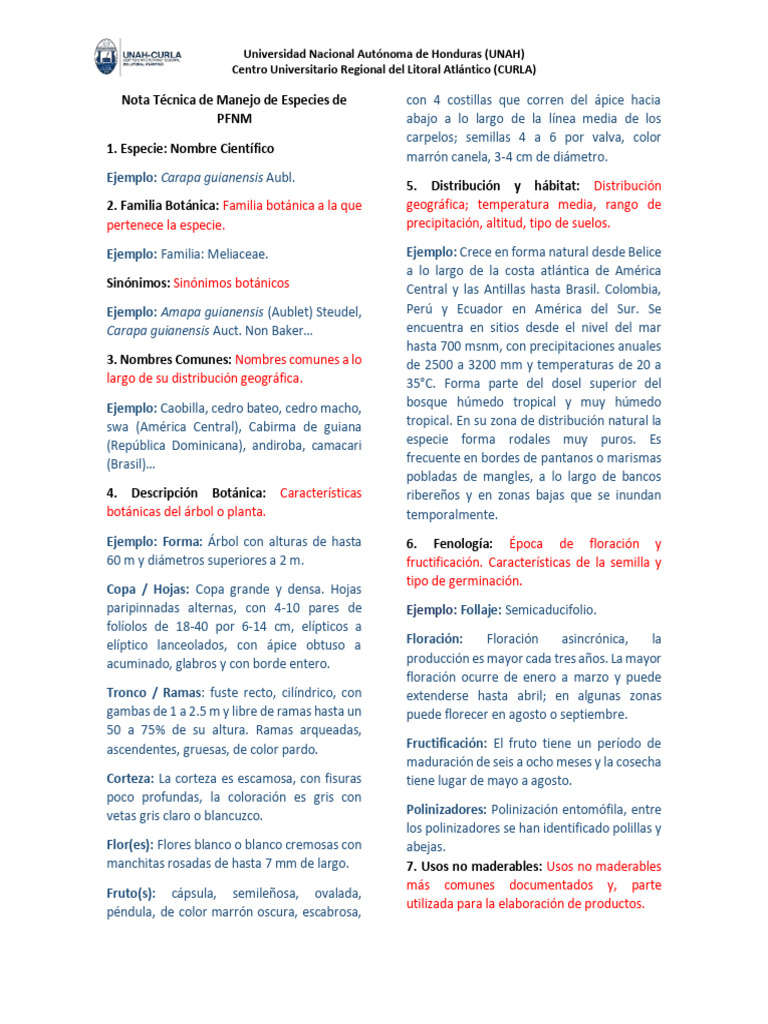 Ejemplo - Nota Técnica de Manejo de Especies de PFNM - IPAC2024 | PDF ...